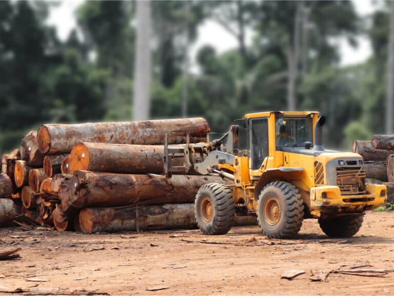 About Annata | Company Information